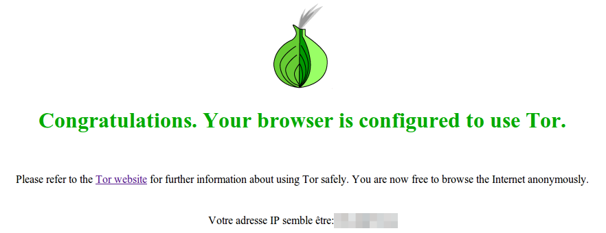 Introduction et première utilisation de Tor